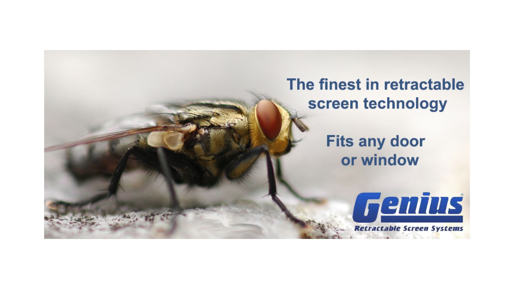 INSECT SCREENS - Malta Aluage Aluminium & Insect Screens